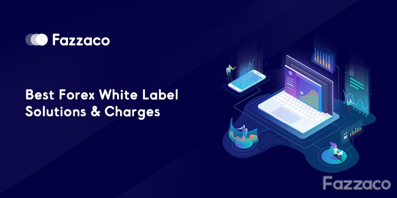 Best Forex White Label Solutions & Charges | Fazzaco